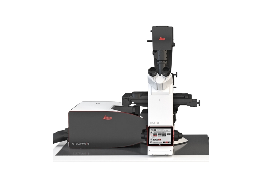 Leica – Stellaris 8 Falcon Flim Microscope – All Products | DKSH Technology